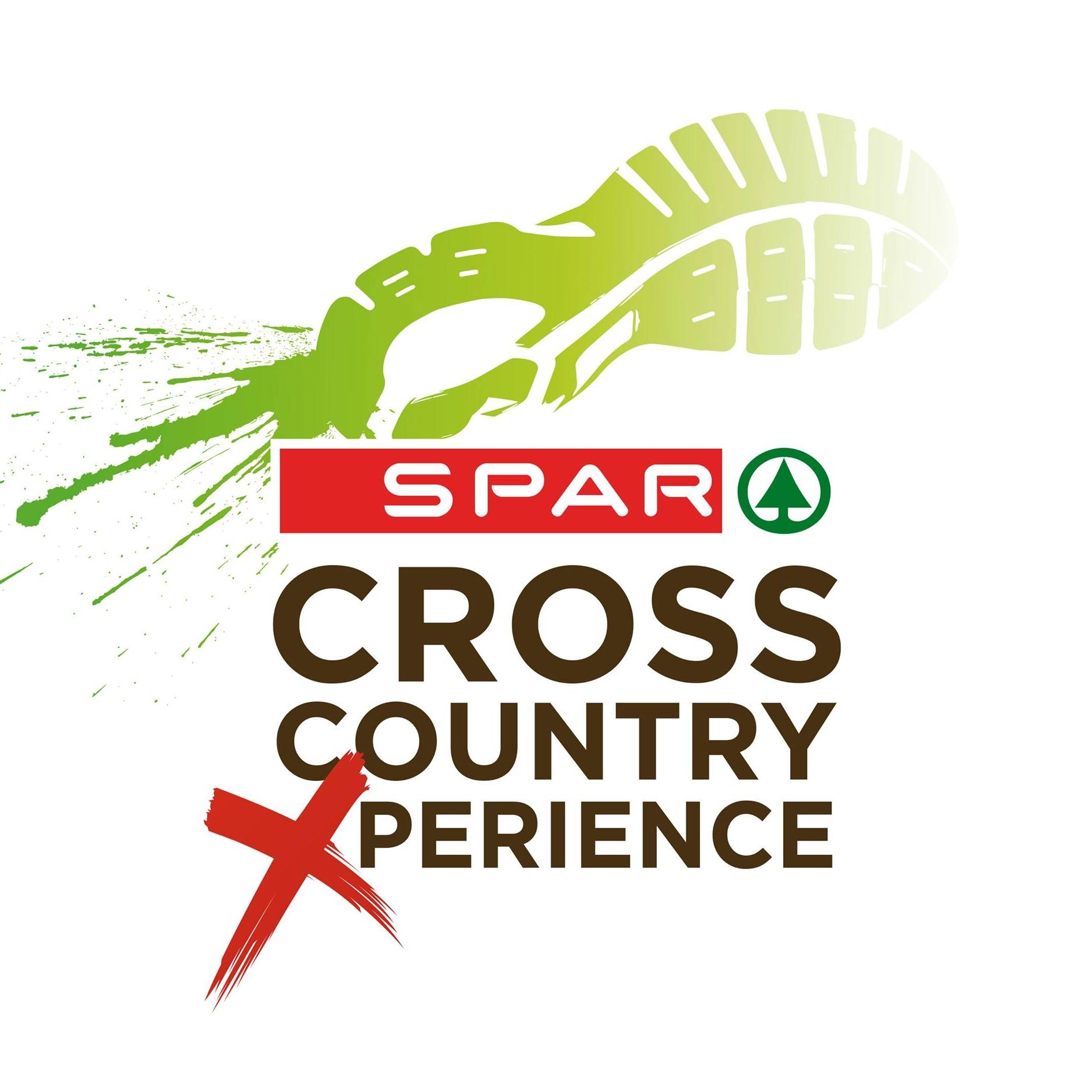 Cross Country 8km, Dublin 2023 - parawruch.pl